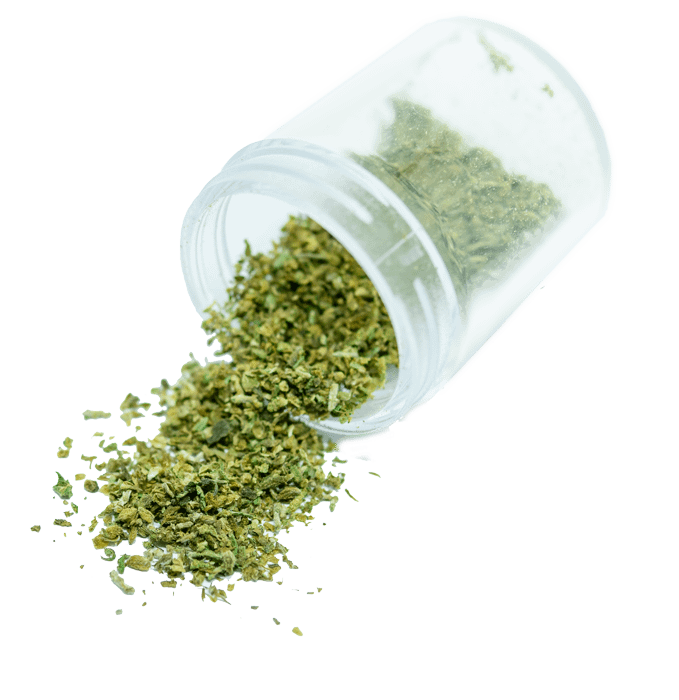 California Cannabis Pre-Ground | Sattva Small Batch Indoor Flower